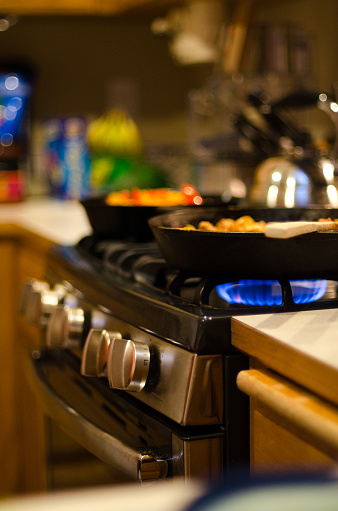 Propane Range Sebastopol | Convert Range to Propane